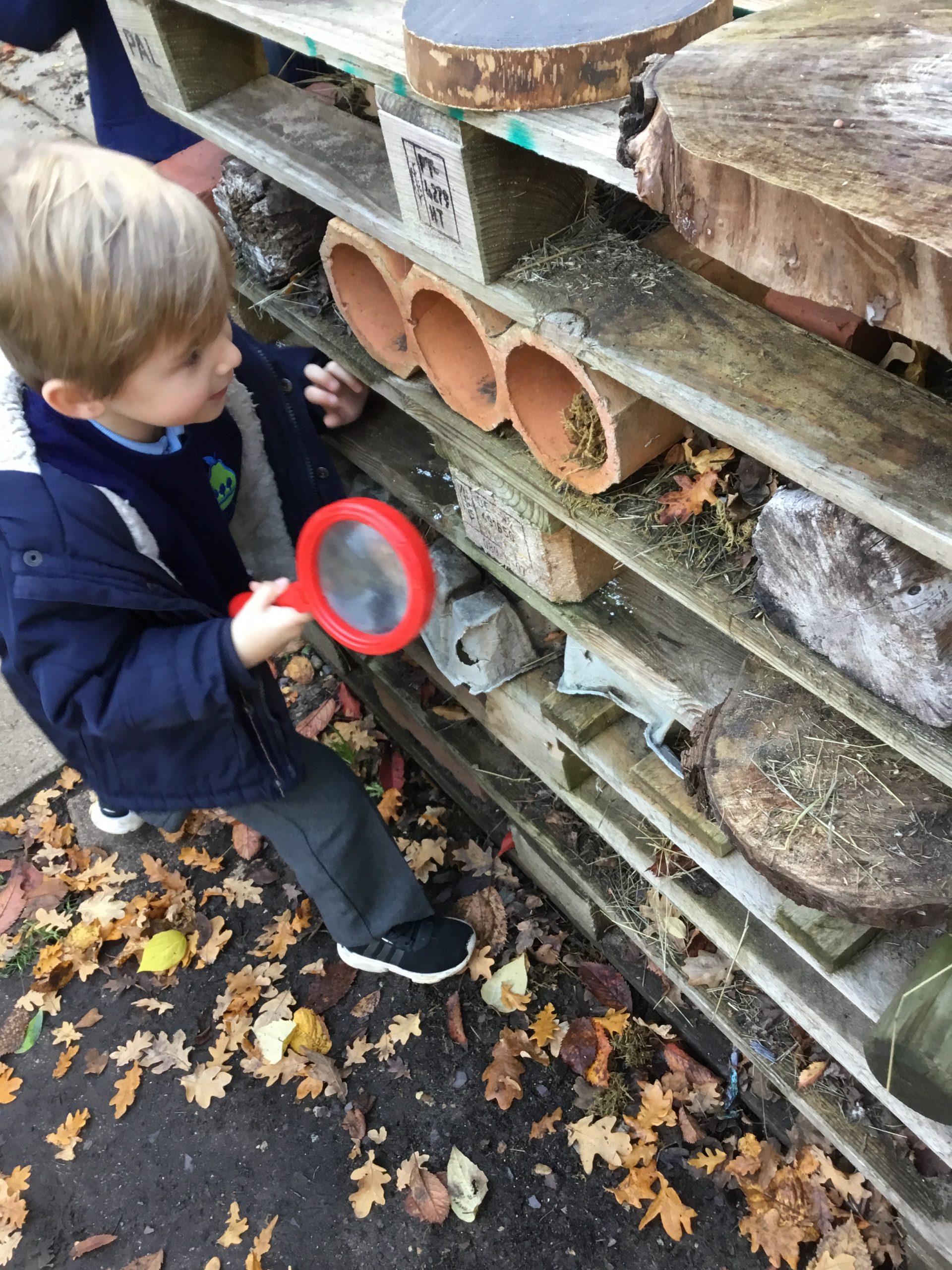 Our Vision and Aims – Peartree Spring Primary School