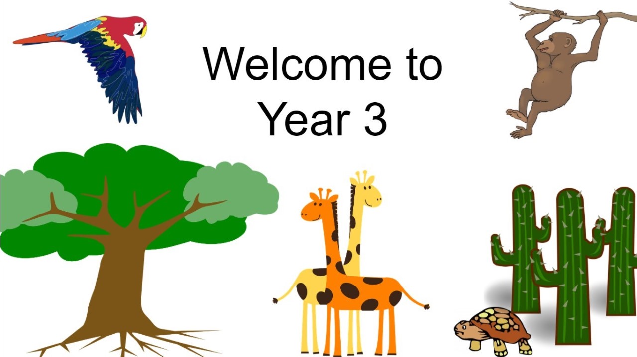 Year 3 – Peartree Spring Primary School